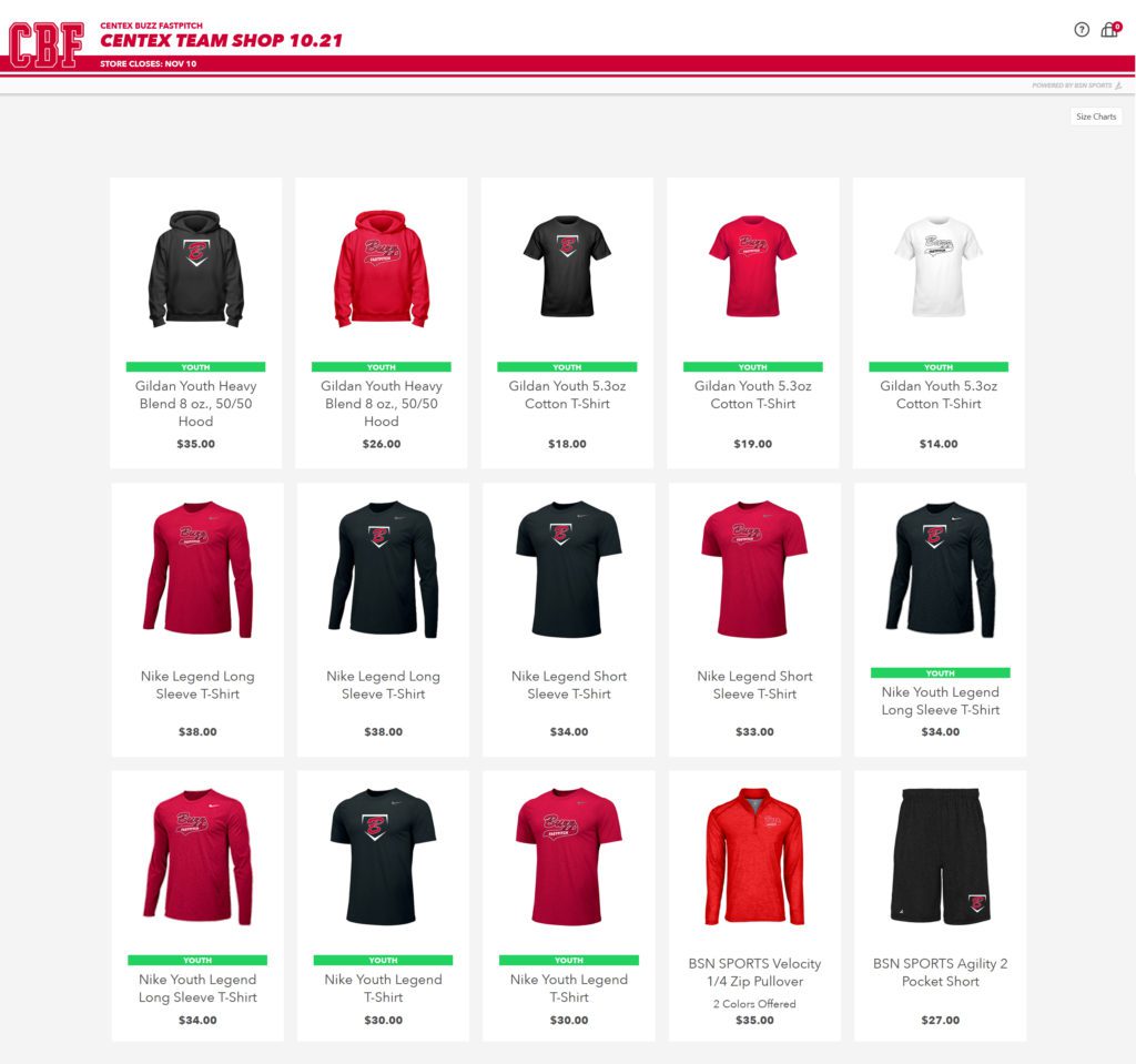 Buzz Gear - Buzz Fastpitch Softball Waco, Texas